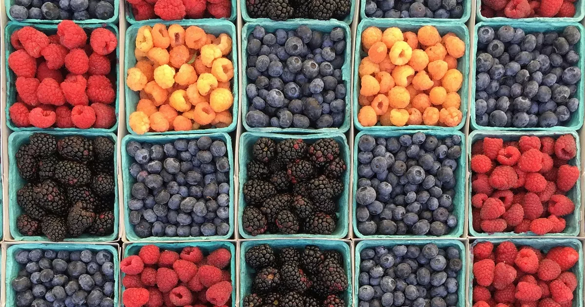 Elevation Farmers Market | Elevation Bend | Seasonal Events + Markets ...