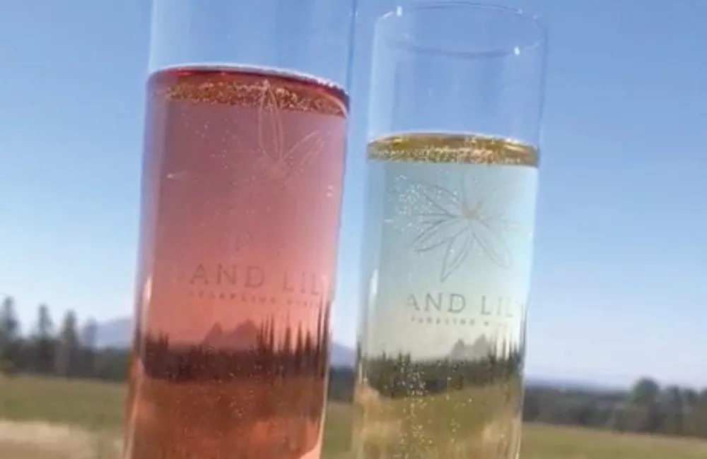 Sand Lily Sparkling Wines Are for Beer Lovers | The Source Weekly ...